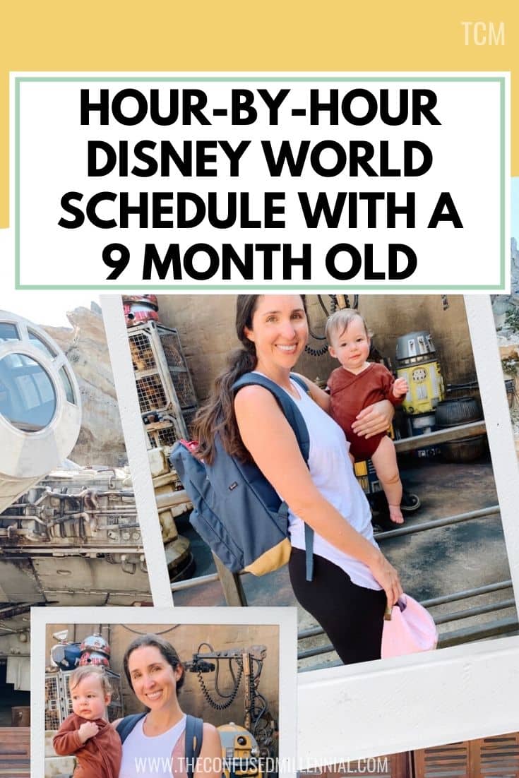 Hour-By-Hour Baby Schedule: Disney World With A 9 Month Old ...
