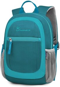 11 Best Toddler Backpacks For Daycare, Preschool, + Everyday [Boys and ...