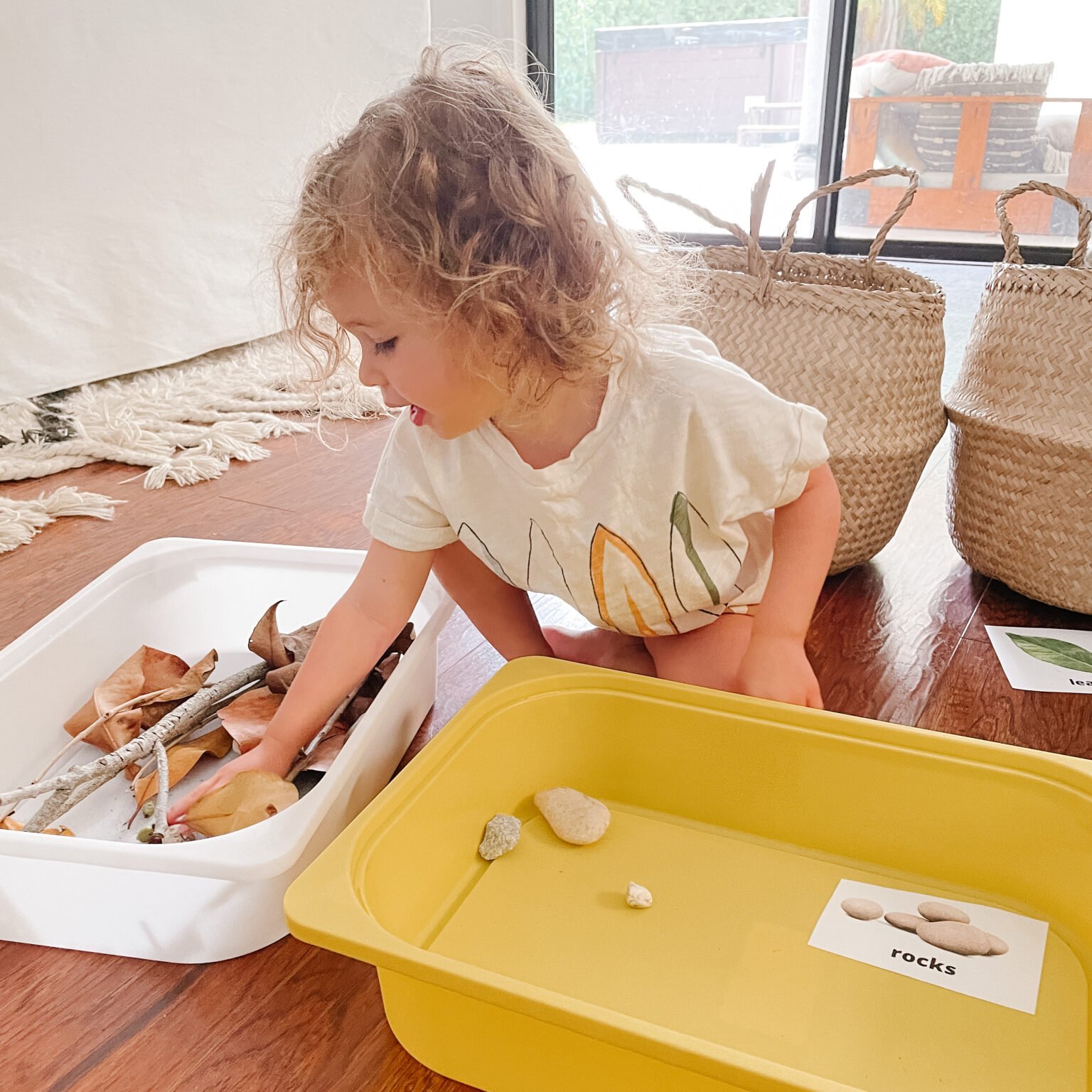 Montessori Sorting Fall Activity For Toddlers + Preschoolers ...