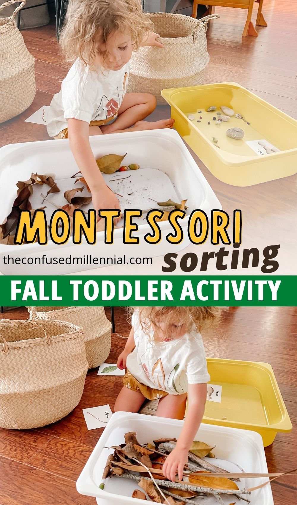 Montessori Sorting Fall Activity For Toddlers + Preschoolers ...